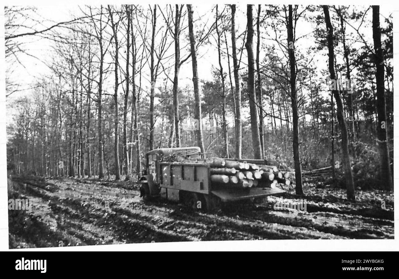 LUMBERJACKS IN HOLLAND - Original wartime caption: A lorry load of ...