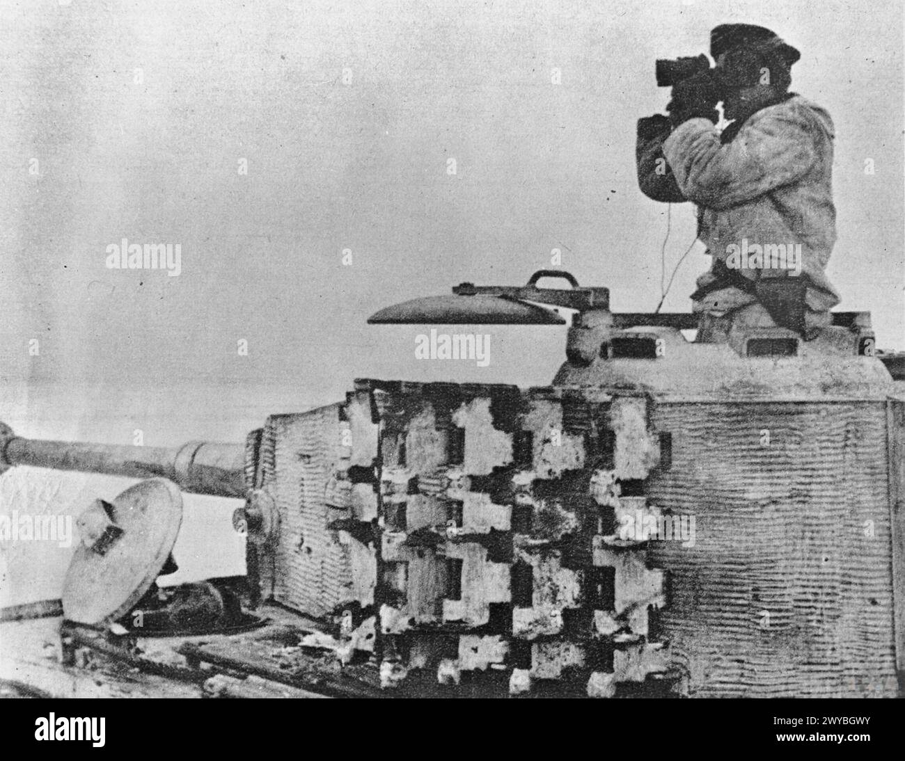 Tiger i tank russia hi-res stock photography and images - Alamy