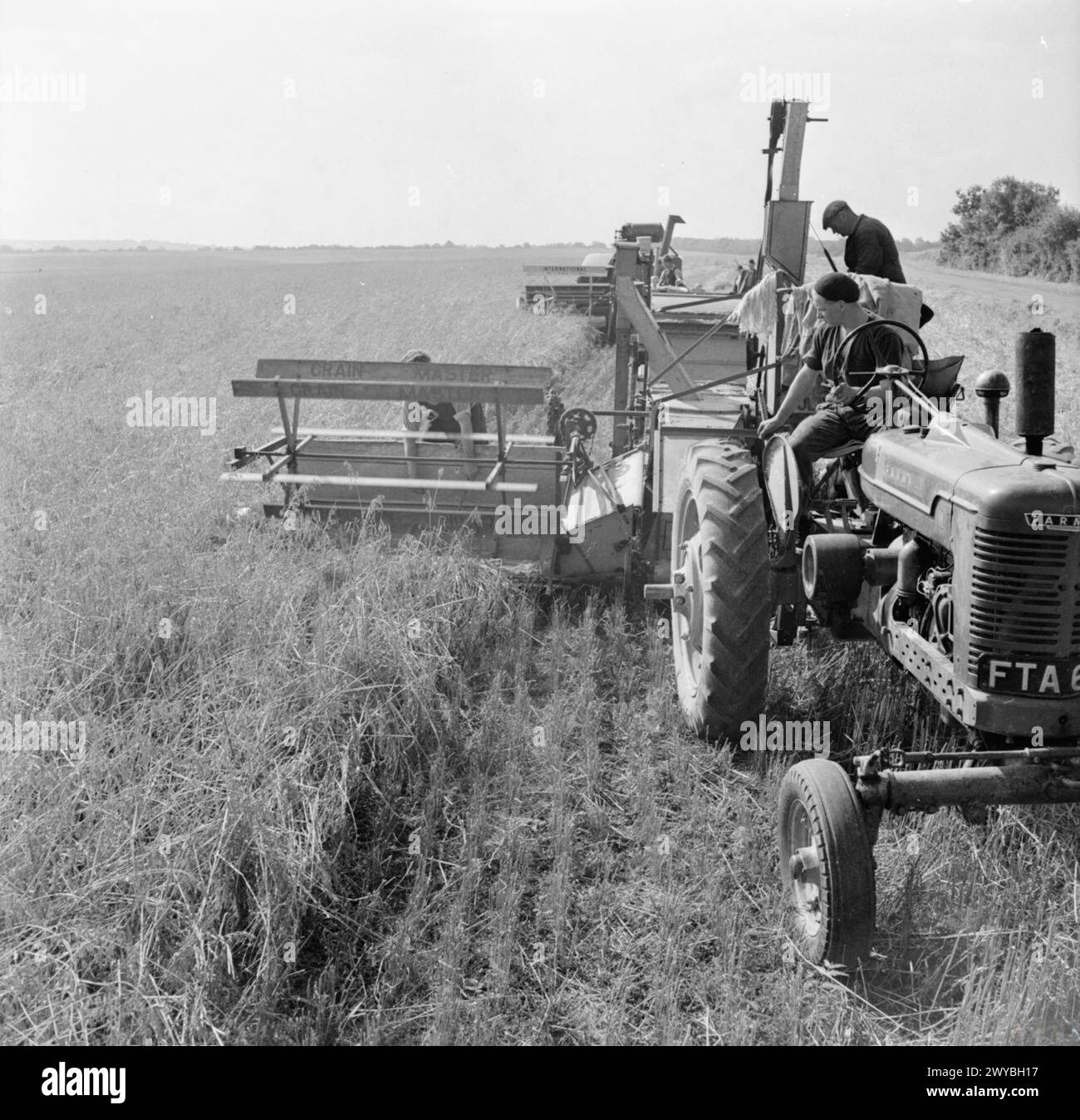 HARVESTING AT MOUNT BARTON, DEVON, ENGLAND, 1942 - Men harvest corn in ...