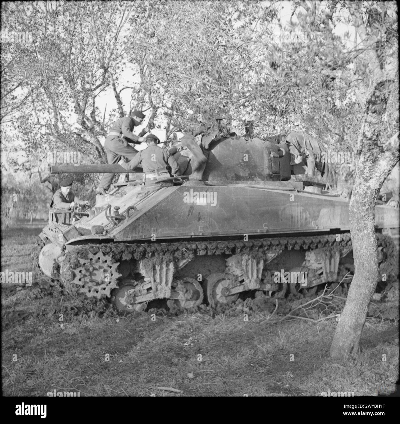 THE BRITISH ARMY IN ITALY 1944 - Sherman tank and crew, 7 January 1944 ...