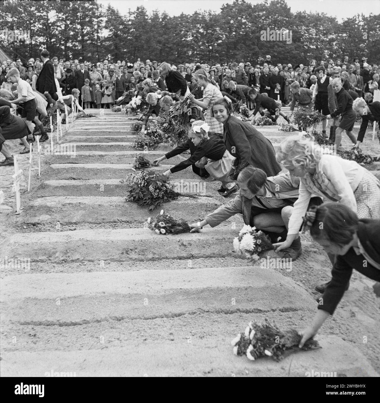 Dutch children lay flowers on the graves of fallen soldiers in Arnhem ...