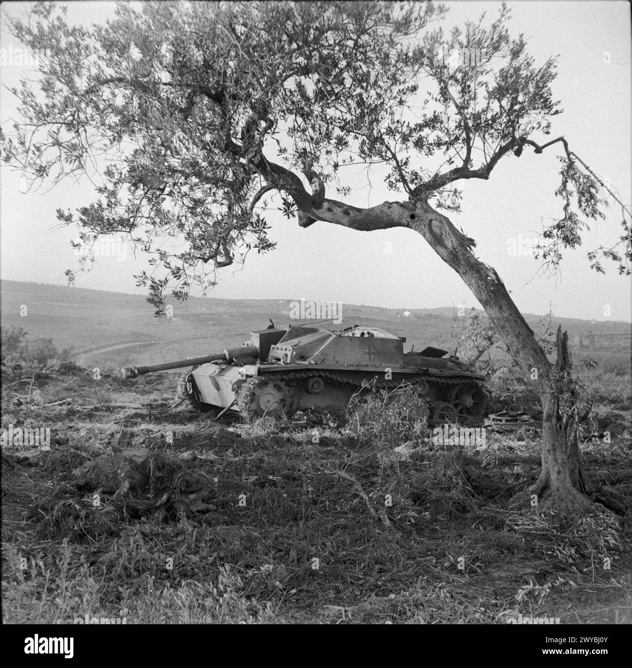 Italy 1943 panzer troops hi-res stock photography and images - Alamy