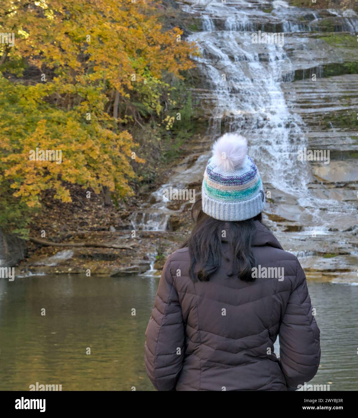 woman looking at a waterfall on a nature hike (photographed from behind ...