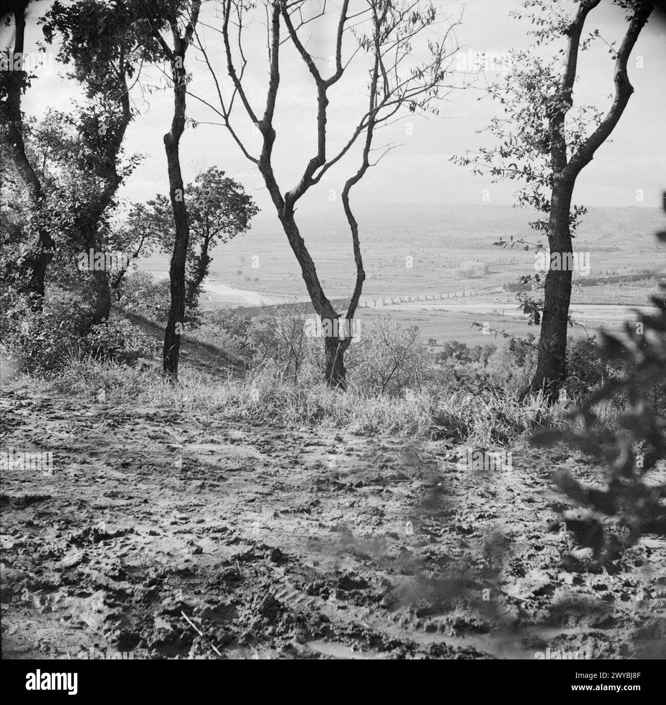 THE CAMPAIGN IN ITALY, SEPTEMBER-DECEMBER 1943: THE ALLIED ADVANCE TO ...