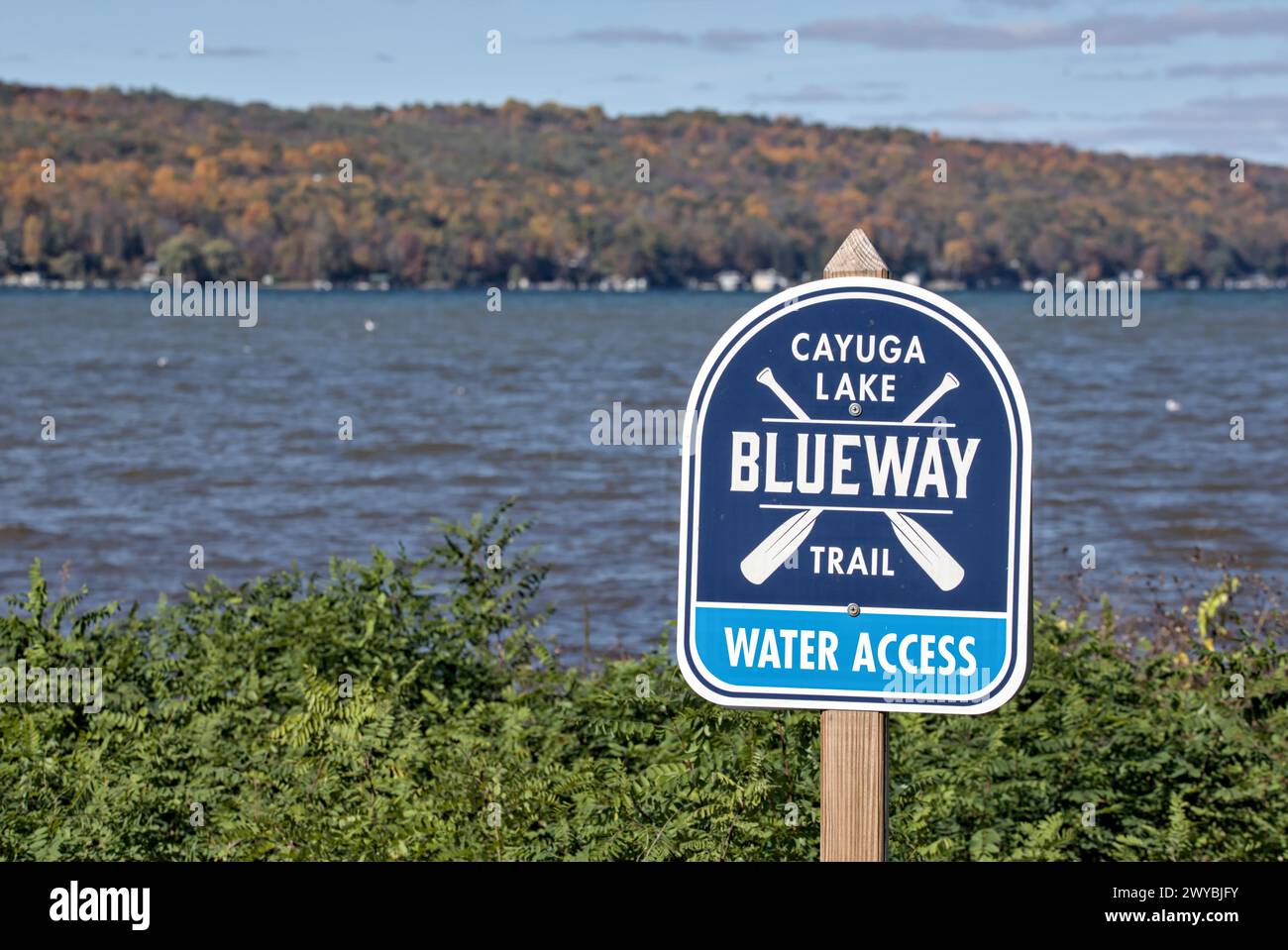 cayuga lake blueway trail water access sign in public park (finger ...