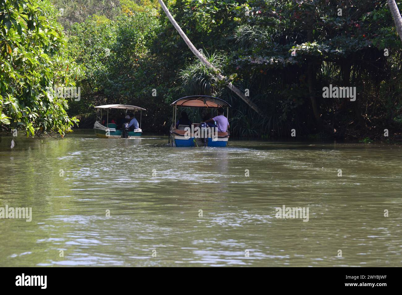 Poovar Thiruvananthapuram, kerala ,India-April 8th 2024. Boat cruising through the Poovar ...