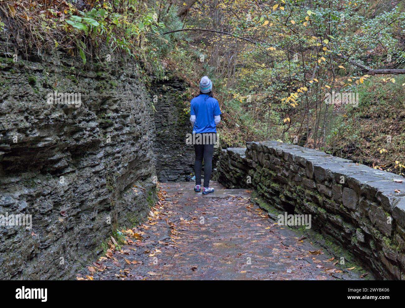 woman walking on a trail in watkins glen state park (shot from behind ...