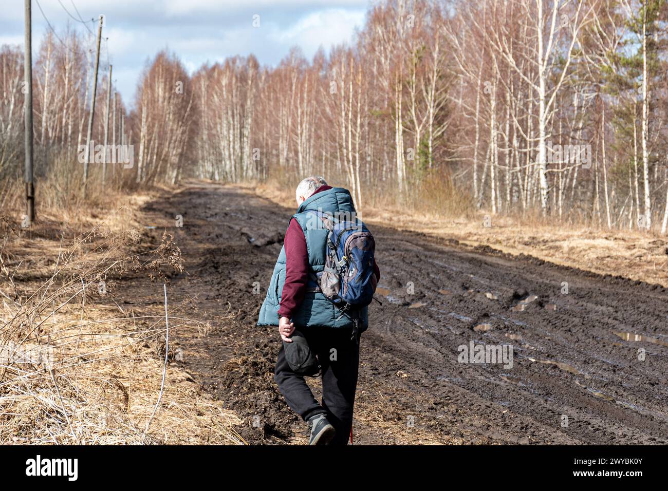 Muddy swamp hi-res stock photography and images - Alamy
