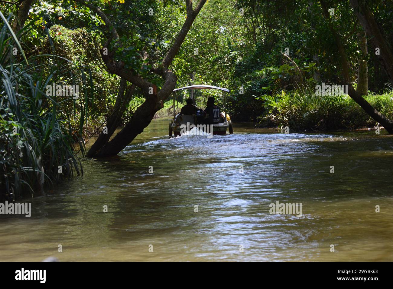 Poovar Thiruvananthapuram, kerala ,India-April 8th 2024. Boat cruising ...