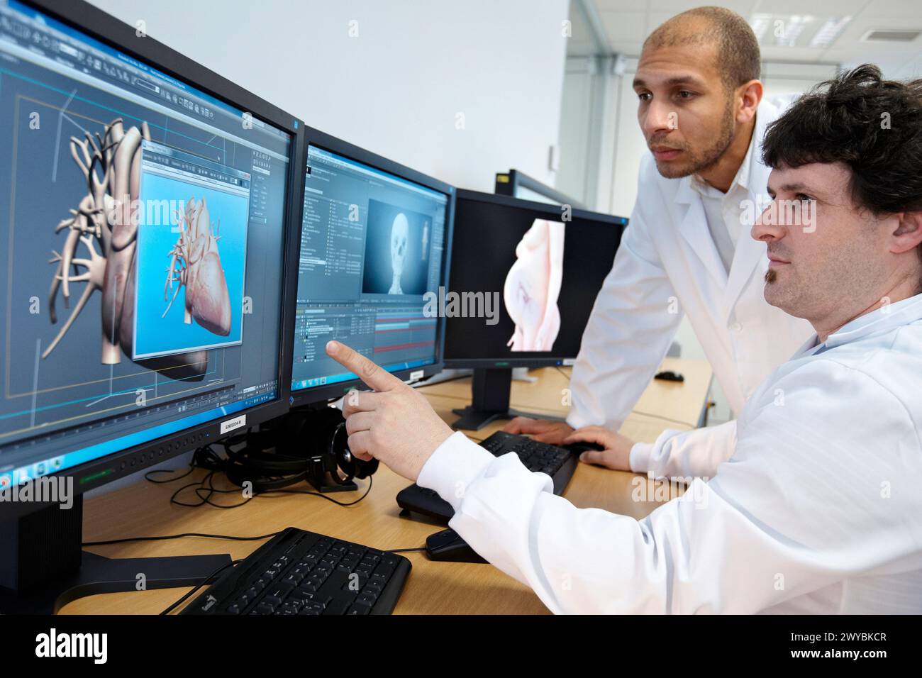 Simulation of organ structure/function, heart image, Health and ...