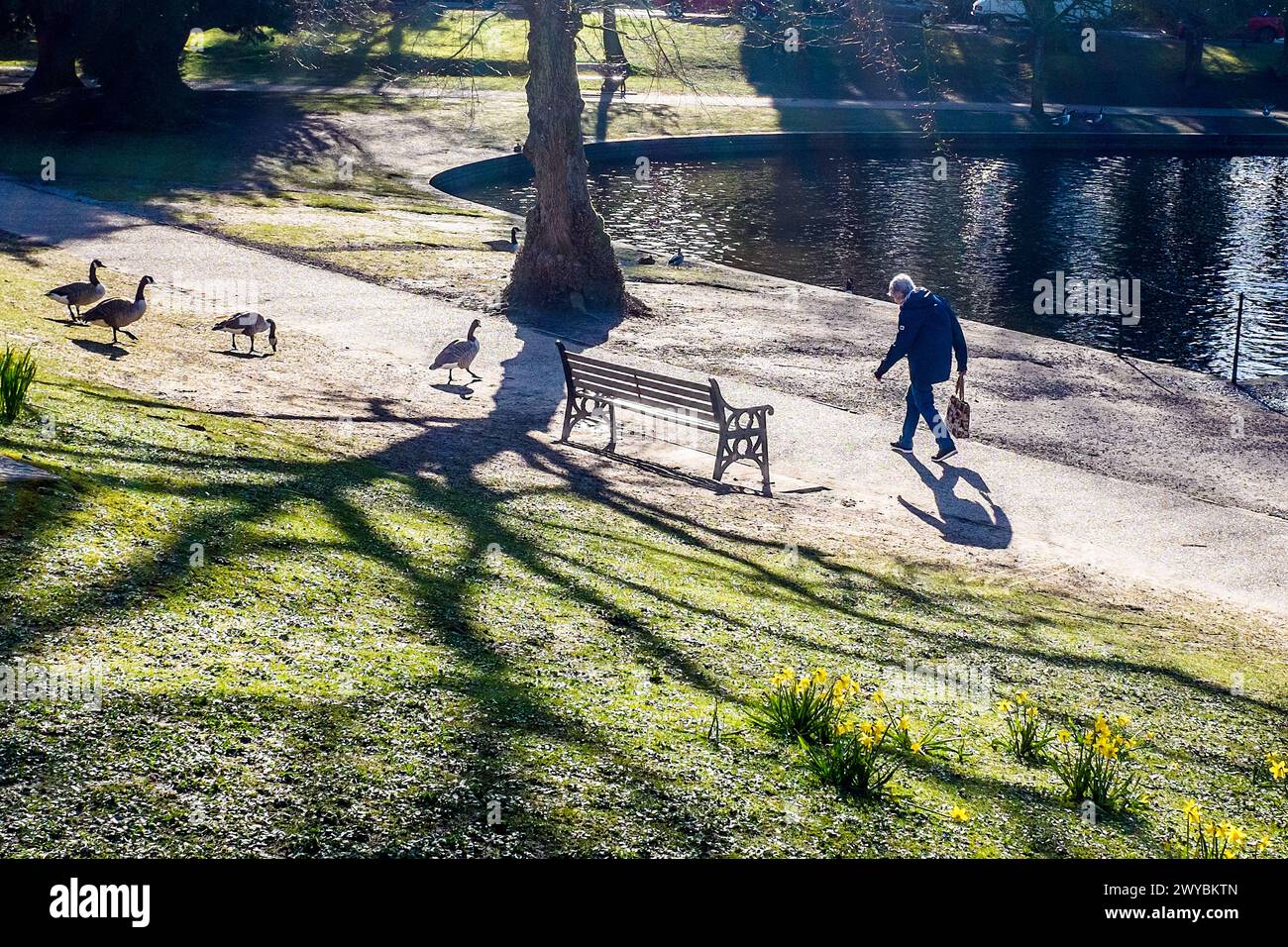 Woman takes walk through hi-res stock photography and images - Alamy