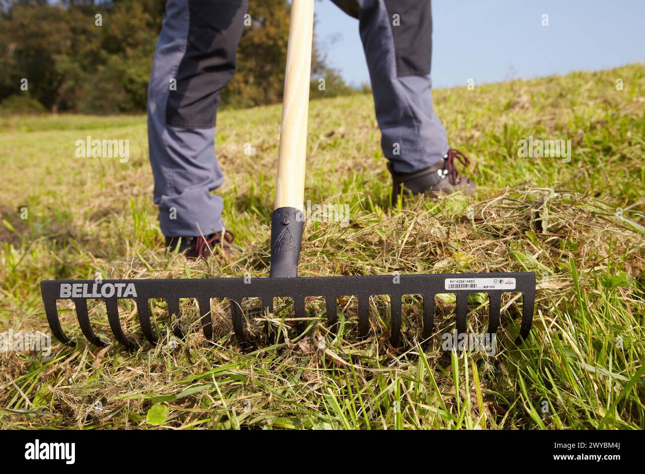 Farmer picking grass with rake, Agricultural and gardening hand tool ...