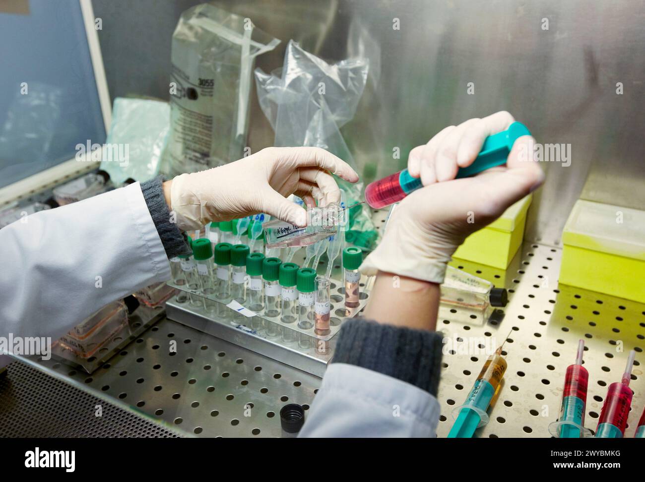 Cytogenetics laboratory hi-res stock photography and images - Alamy