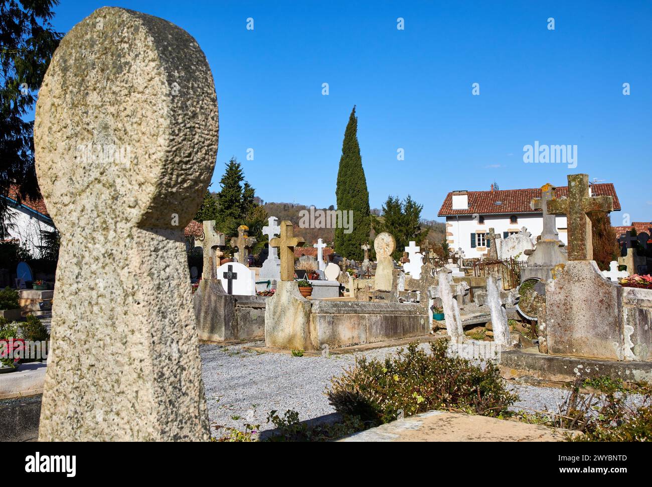 Discoidal steles Basque, Funeral steles, Cemetery, Sara, Pyrénées ...