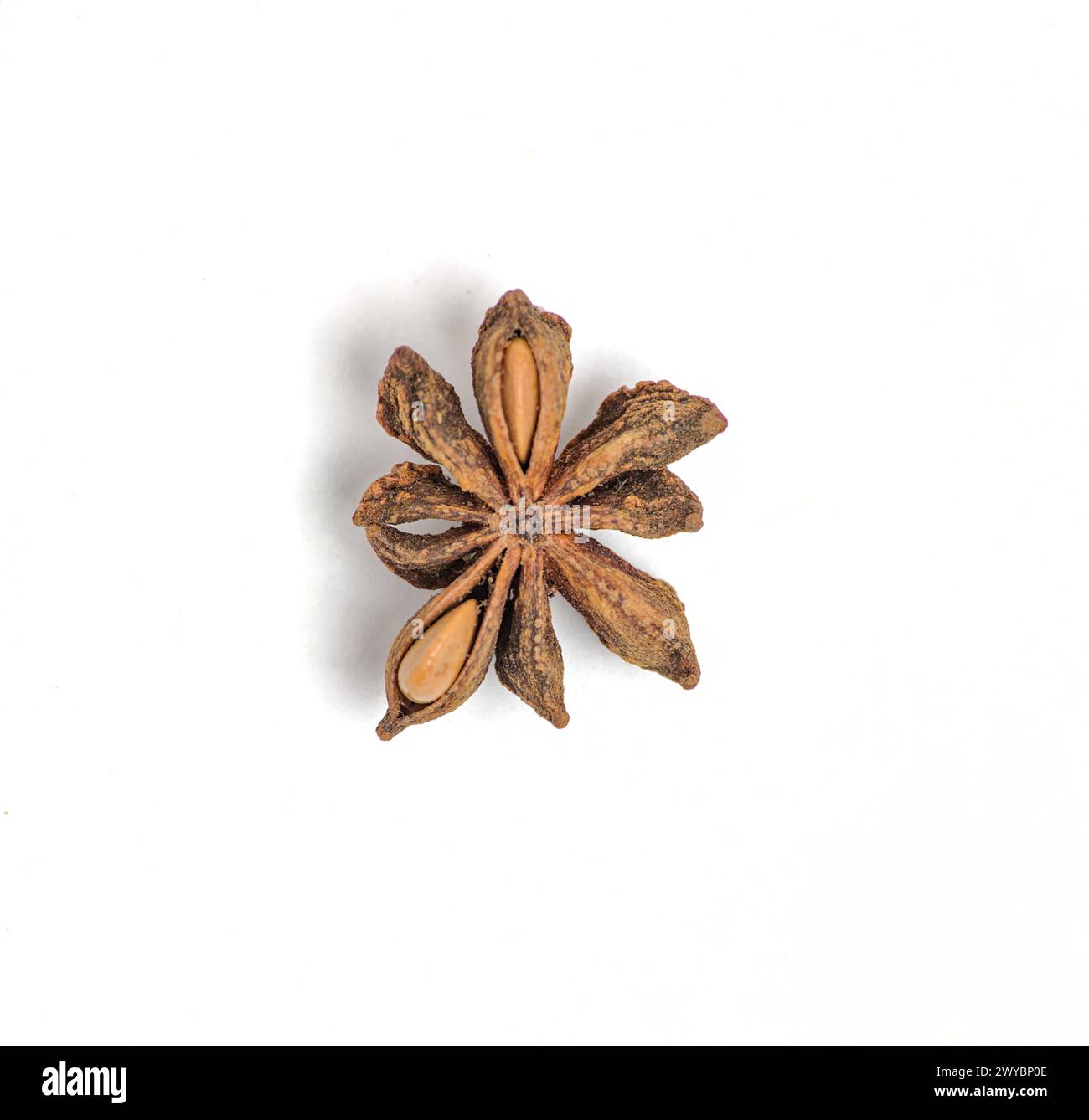 Anise seed texture hi-res stock photography and images - Alamy