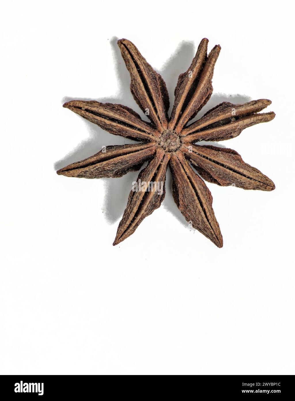 star anise arranged in square shape close up isolated on a white ...