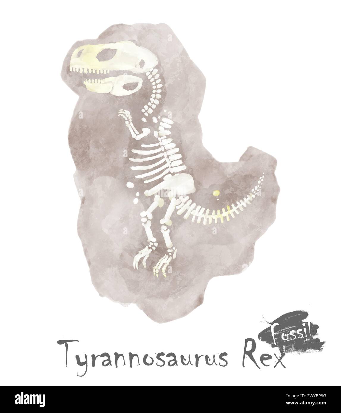 Fossil of Tyrannosaurus rex dinosaur in rock . Watercolor paint design . Vector Stock Vector ...