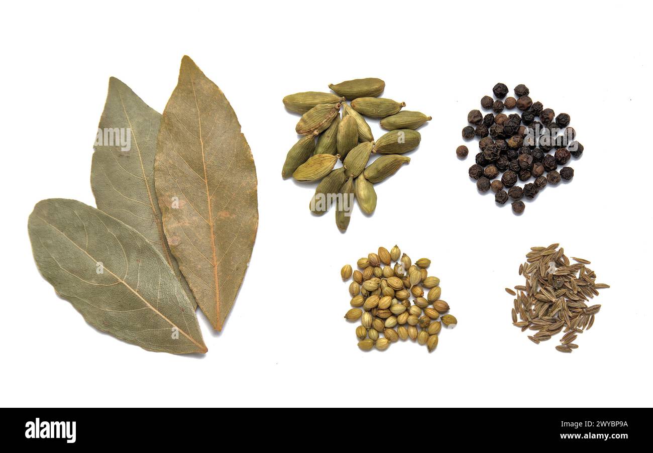 assorted spices isolated on a white background including bay leaves ...