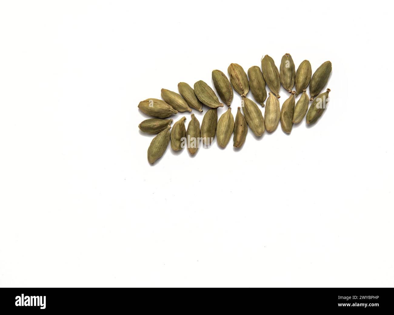 green cardamom pods in a pile close up (spices for cooking cut out ...