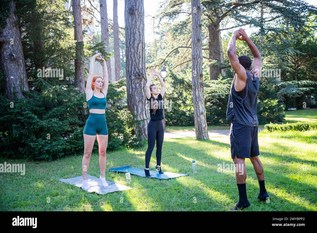 Group people doing stretching exercises hi-res stock photography and ...