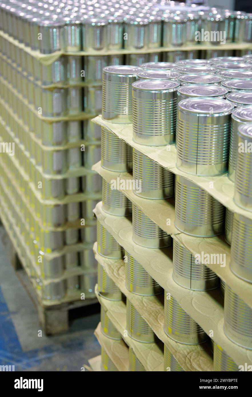 Labeling and packaging canned vegetables, Cans, Canning Industry, Agri ...