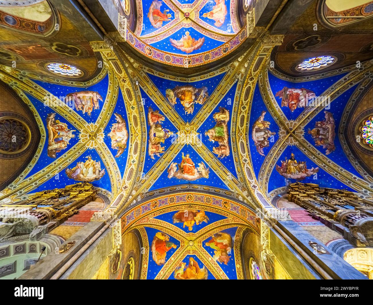 Decorated vaulted ceiling in the Basilica di Santa Maria sopra Minerva ...