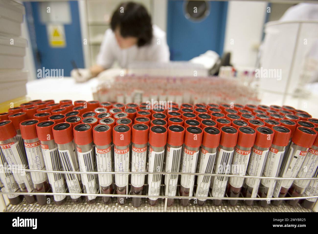 Department of animal production and health hi-res stock photography and ...