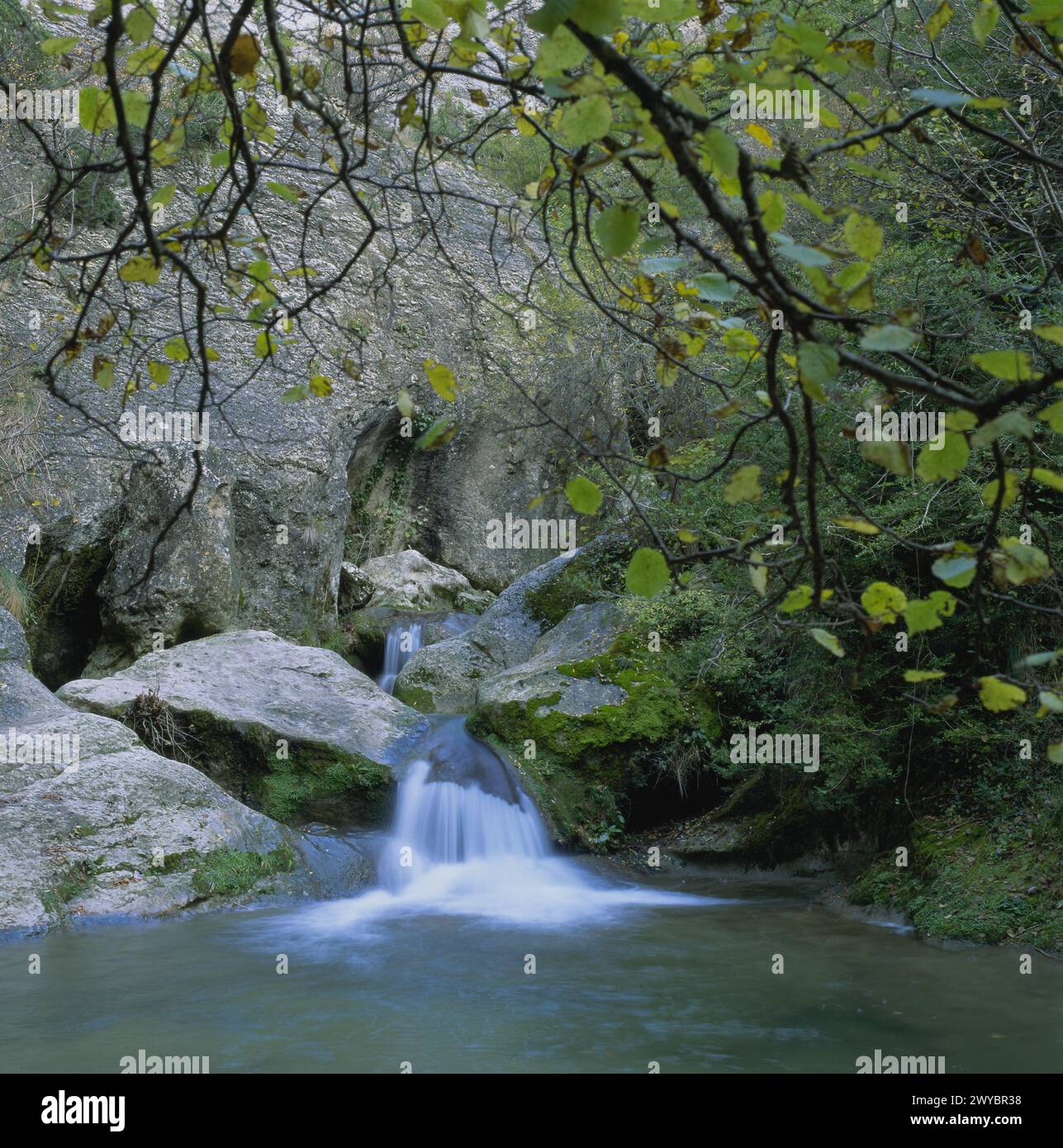 Purón River. Valderejo Natural Park. Álava. Spain Stock Photo - Alamy