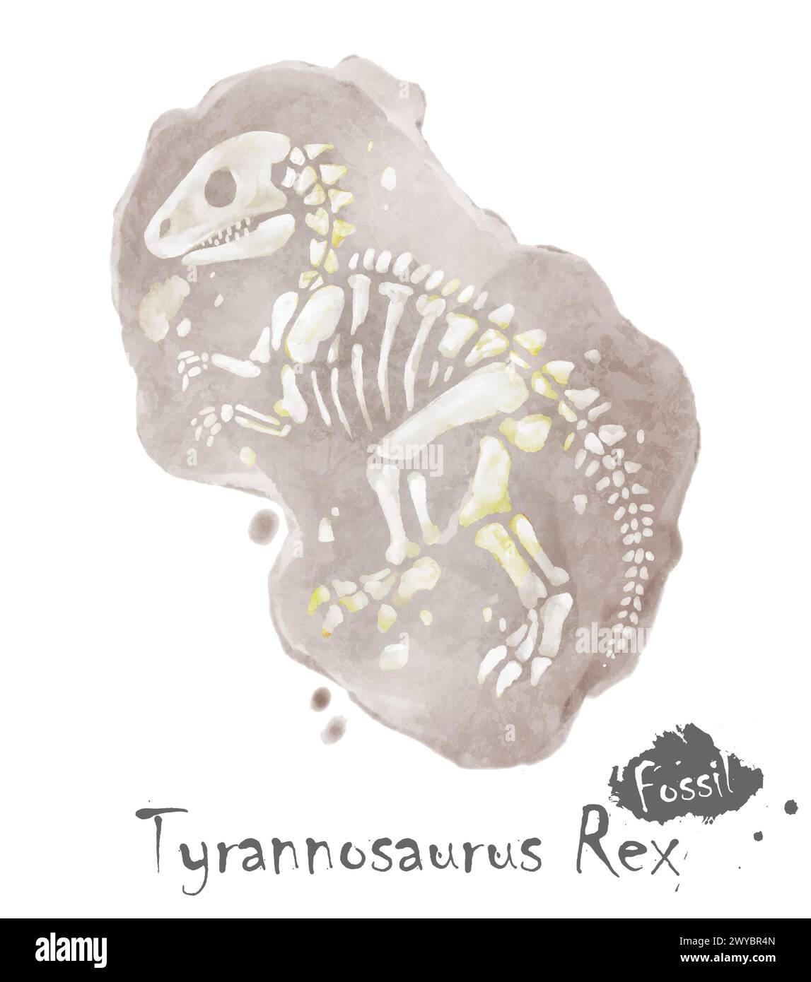 Fossil of Tyrannosaurus rex dinosaur in rock . Watercolor paint design . Vector Stock Vector ...