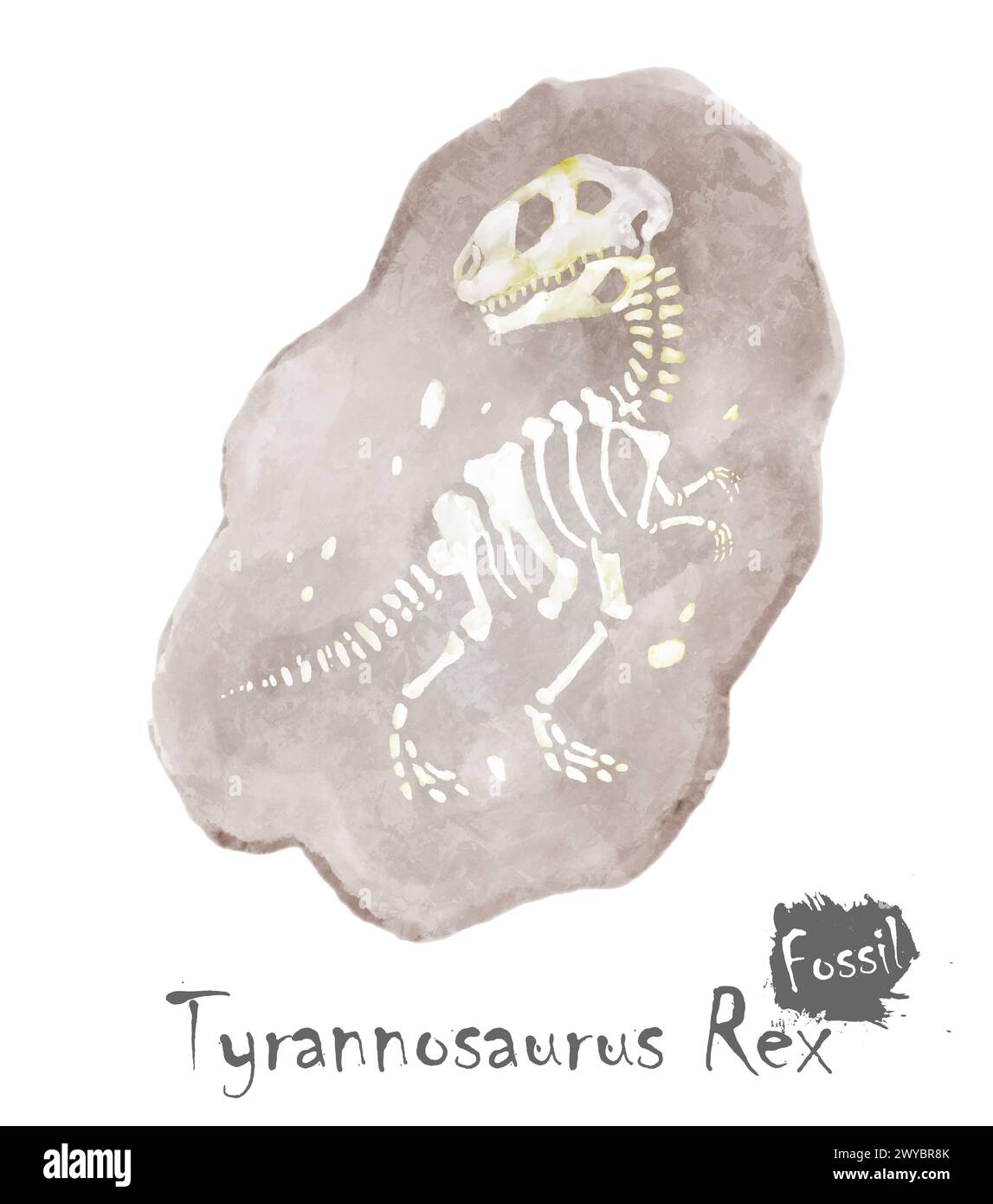 Fossil of Tyrannosaurus rex dinosaur in rock . Watercolor paint design . Vector Stock Vector ...