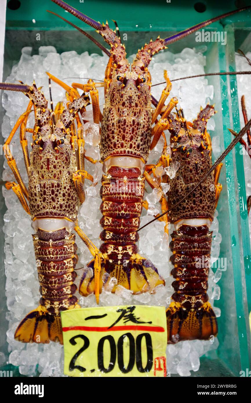 Lobster purchase hi-res stock photography and images - Alamy