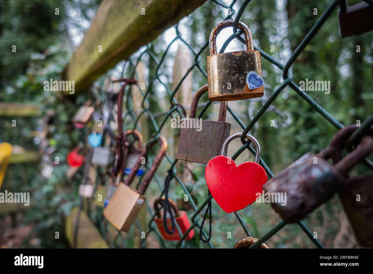 Love lock on chain link fence hi-res stock photography and images - Alamy