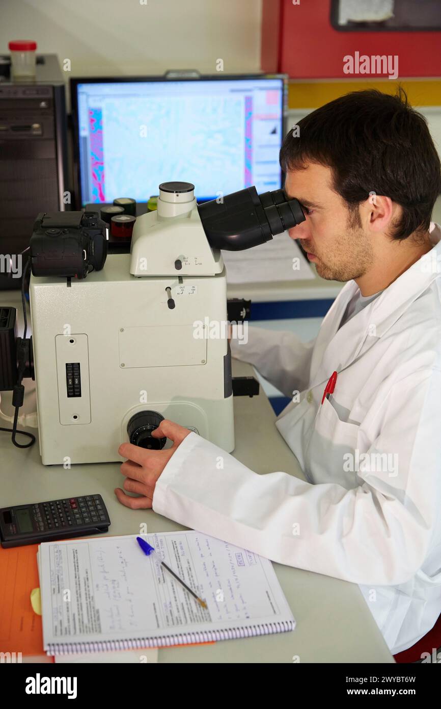 Embedded samples hi-res stock photography and images - Alamy