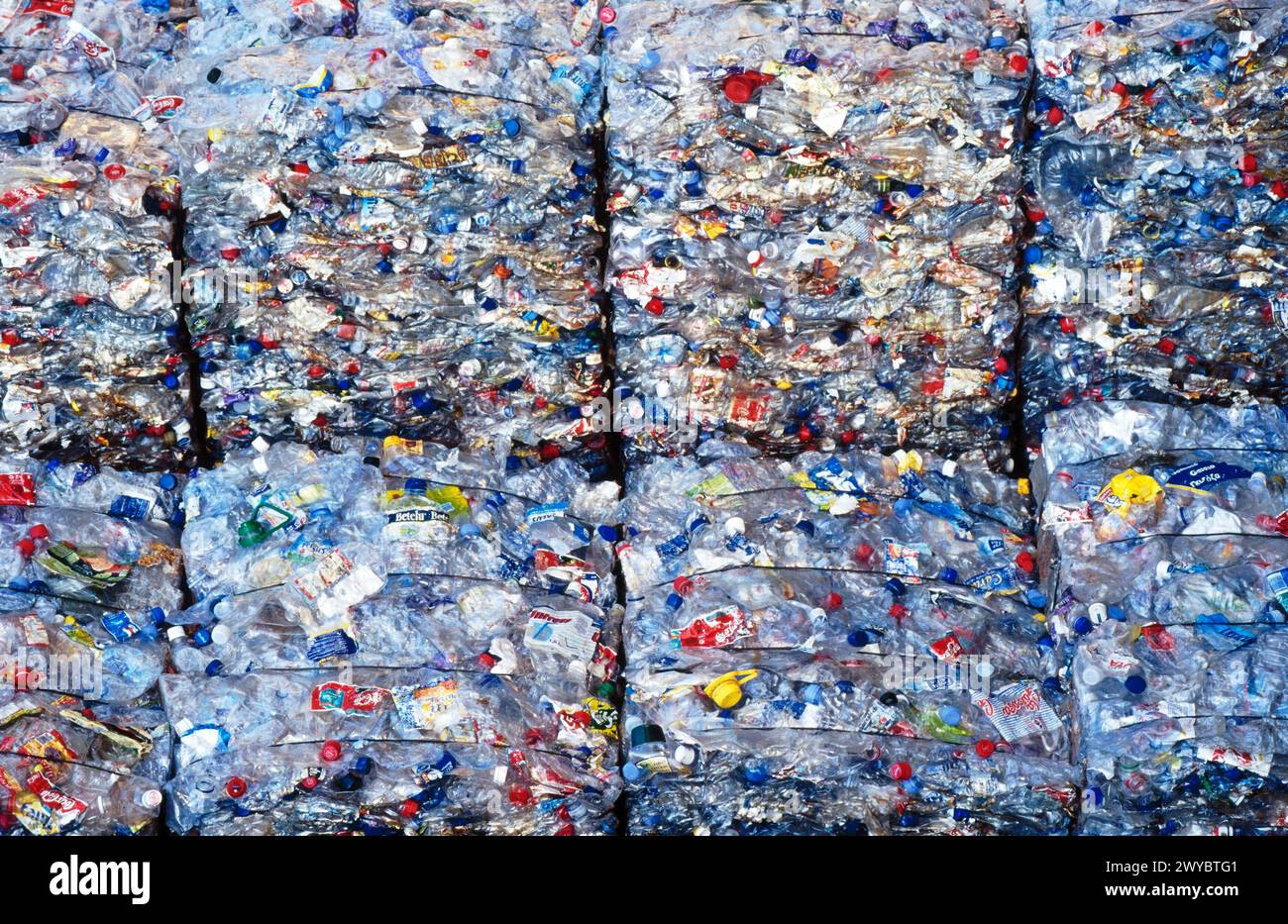 PET (Polythene Terephthalate) recycling Stock Photo - Alamy