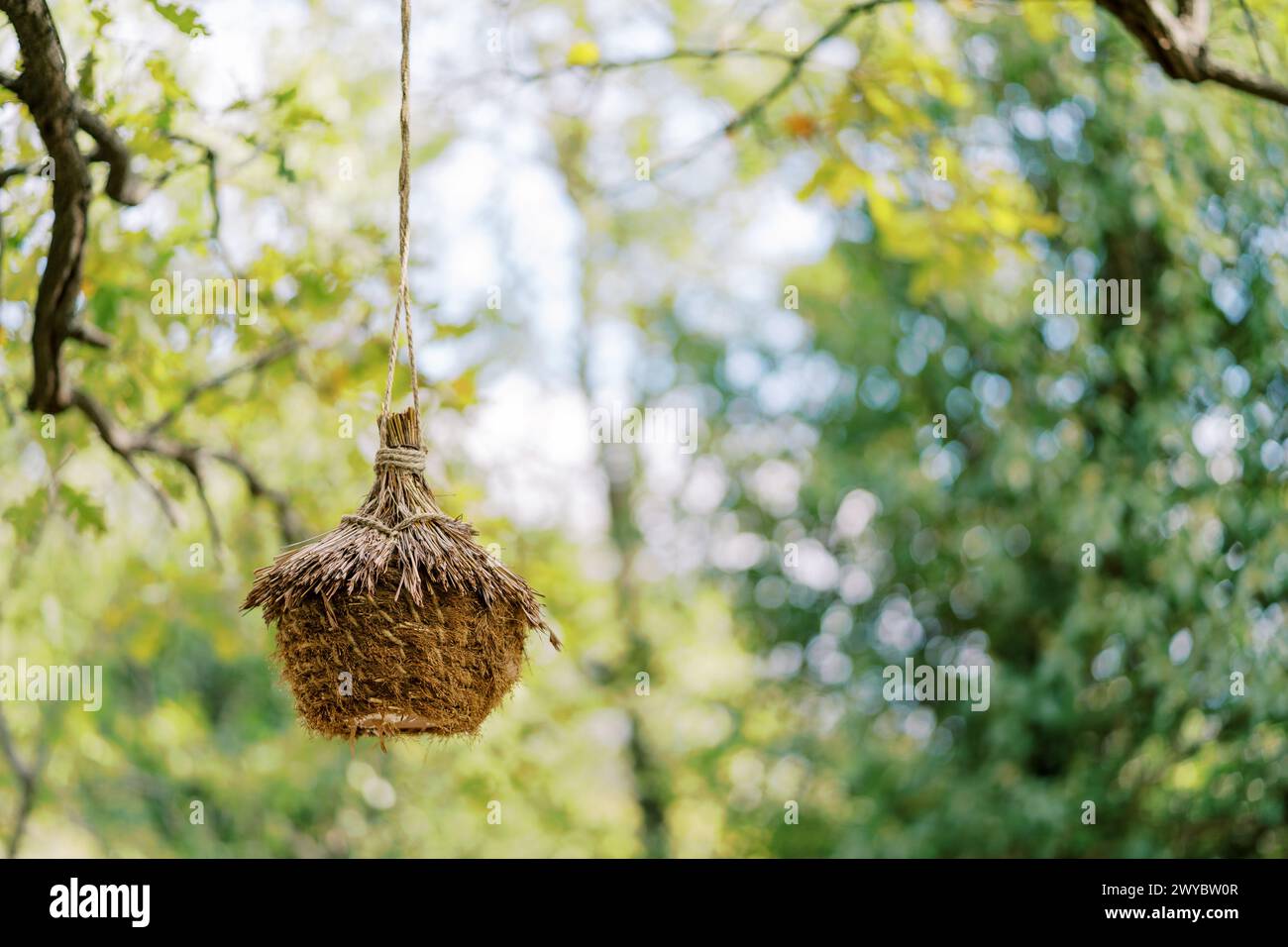 Round straw nest with a roof hanging on a rope on a tree branch in the ...