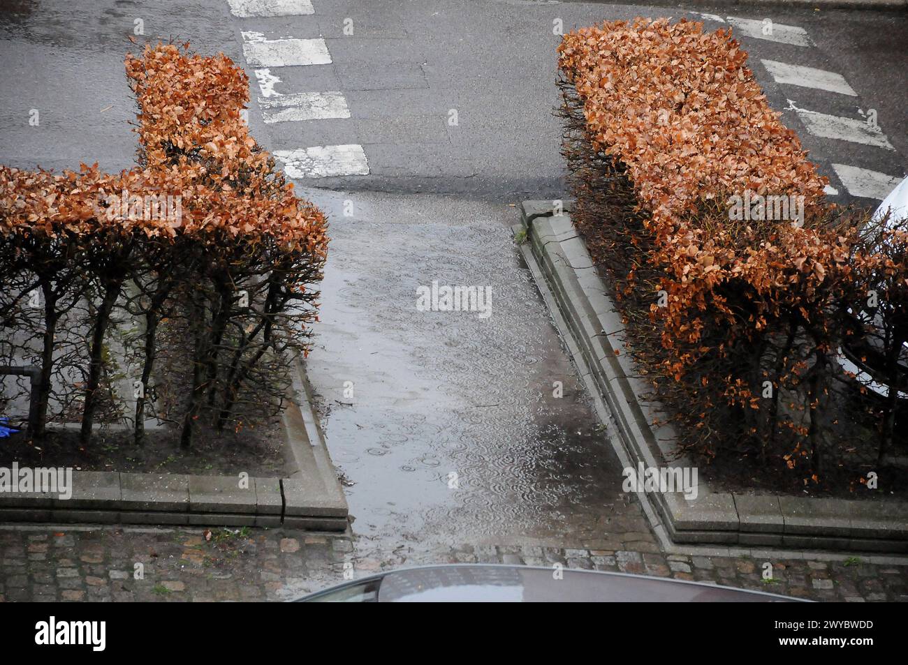 Copenhgen/ Denmark /02 April 2024/Danish weather rain fall in kstrup ...
