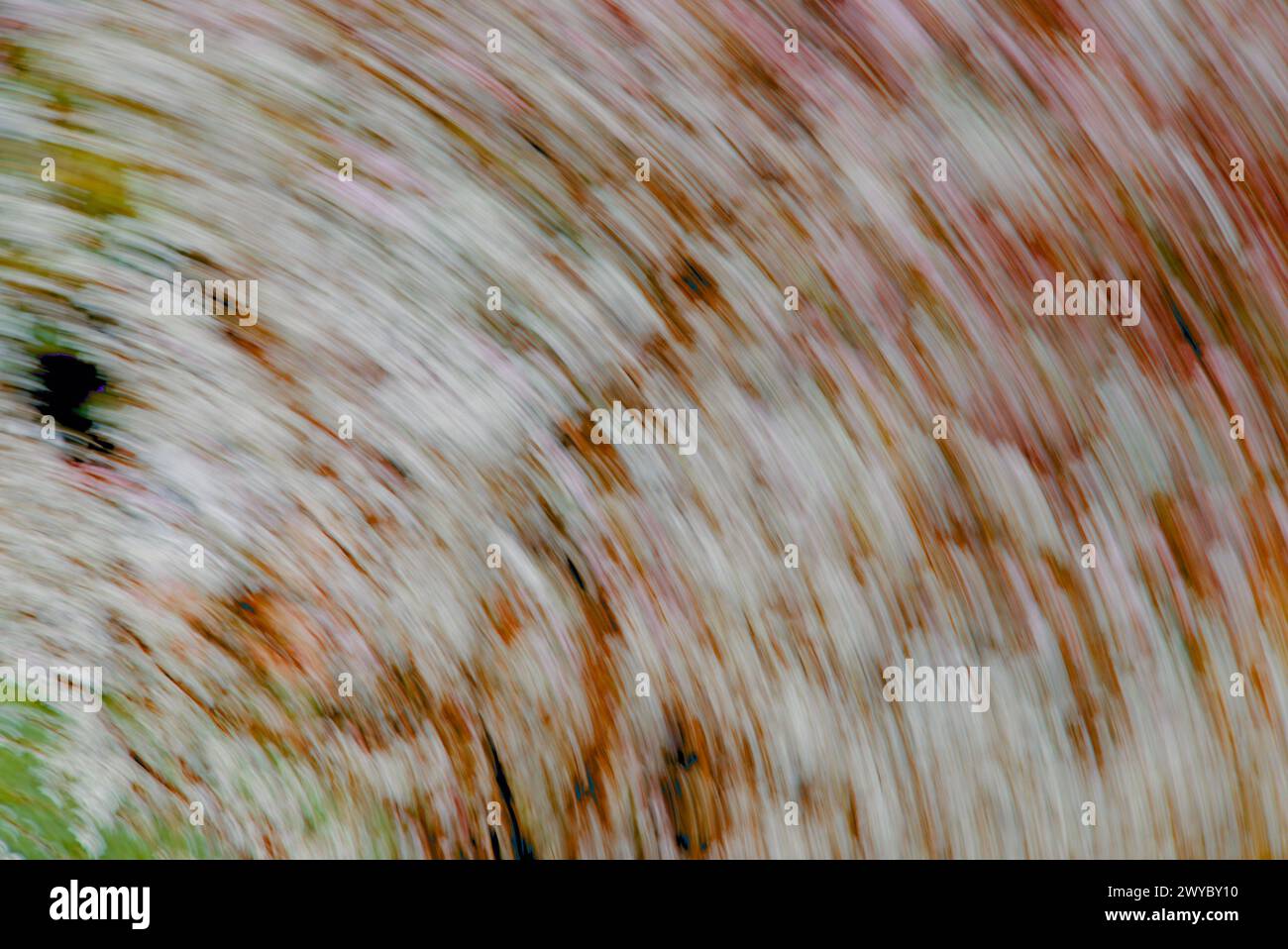 Panning camera movement hi-res stock photography and images - Alamy