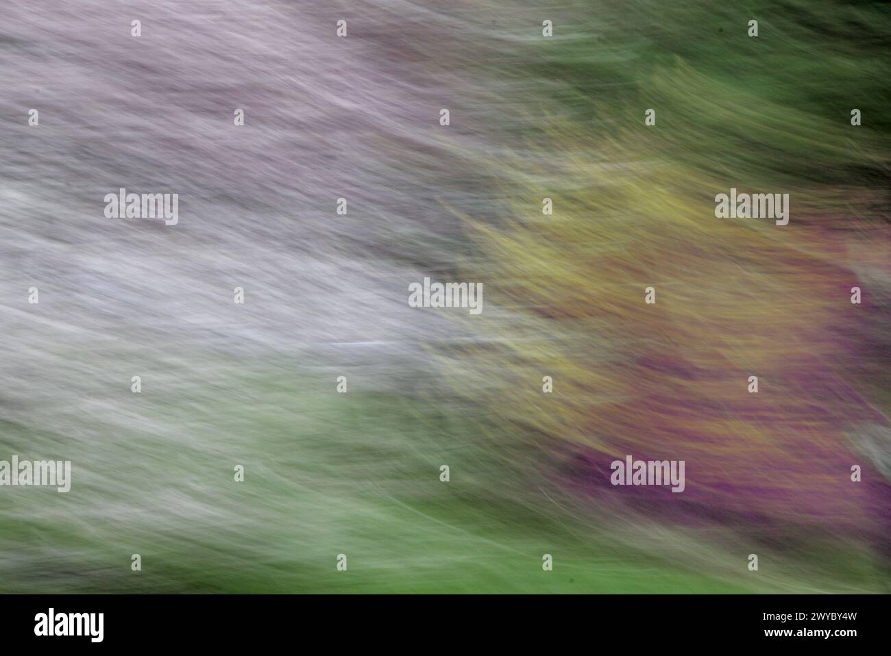 Panning camera movement hi-res stock photography and images - Alamy