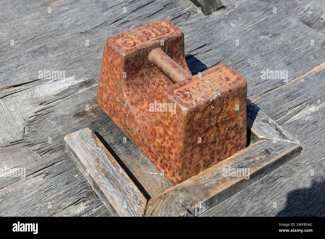 56 lbs hi-res stock photography and images - Alamy