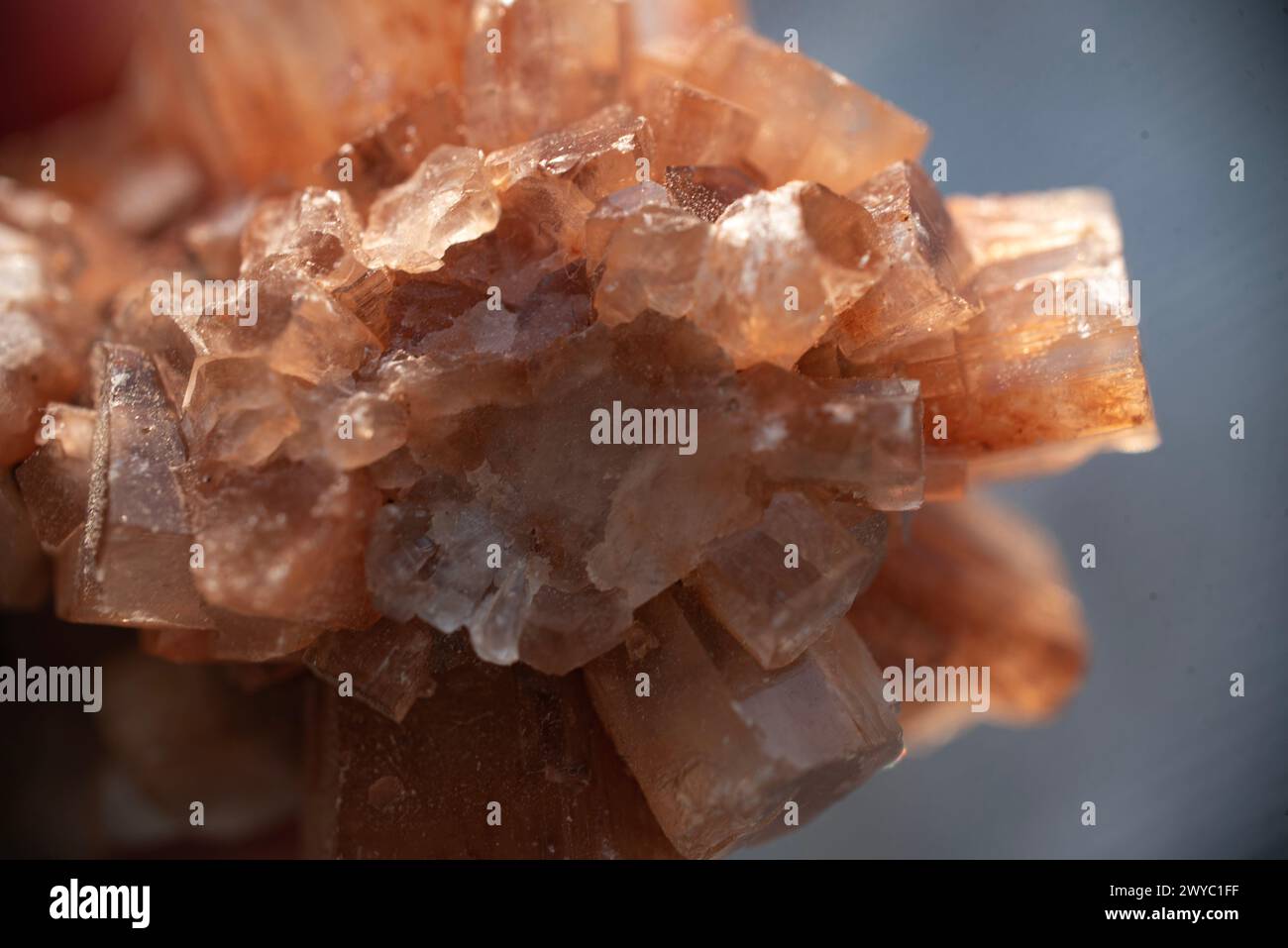 Aragonite crystal hi-res stock photography and images - Alamy