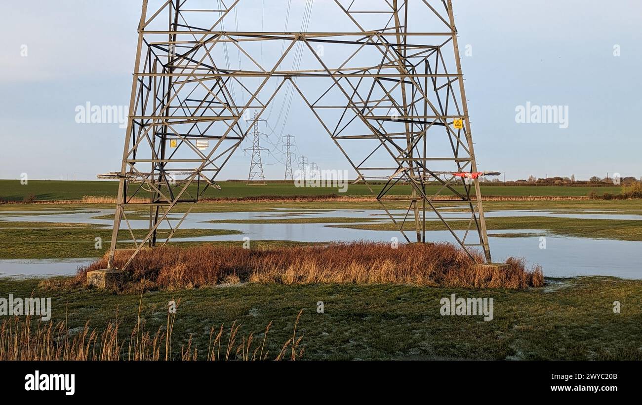 Swale estuary birds hi-res stock photography and images - Alamy