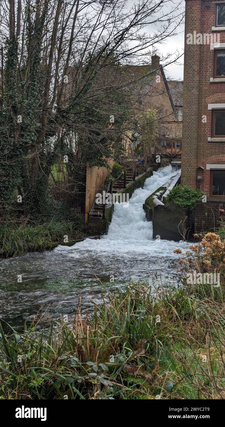 Views around Arlesford Hampshire river itchen watercress watercress ...