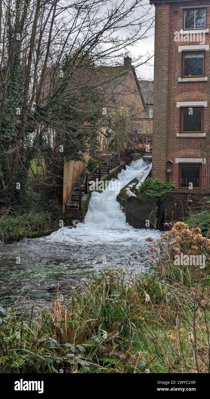 Views around Arlesford Hampshire river itchen watercress watercress ...