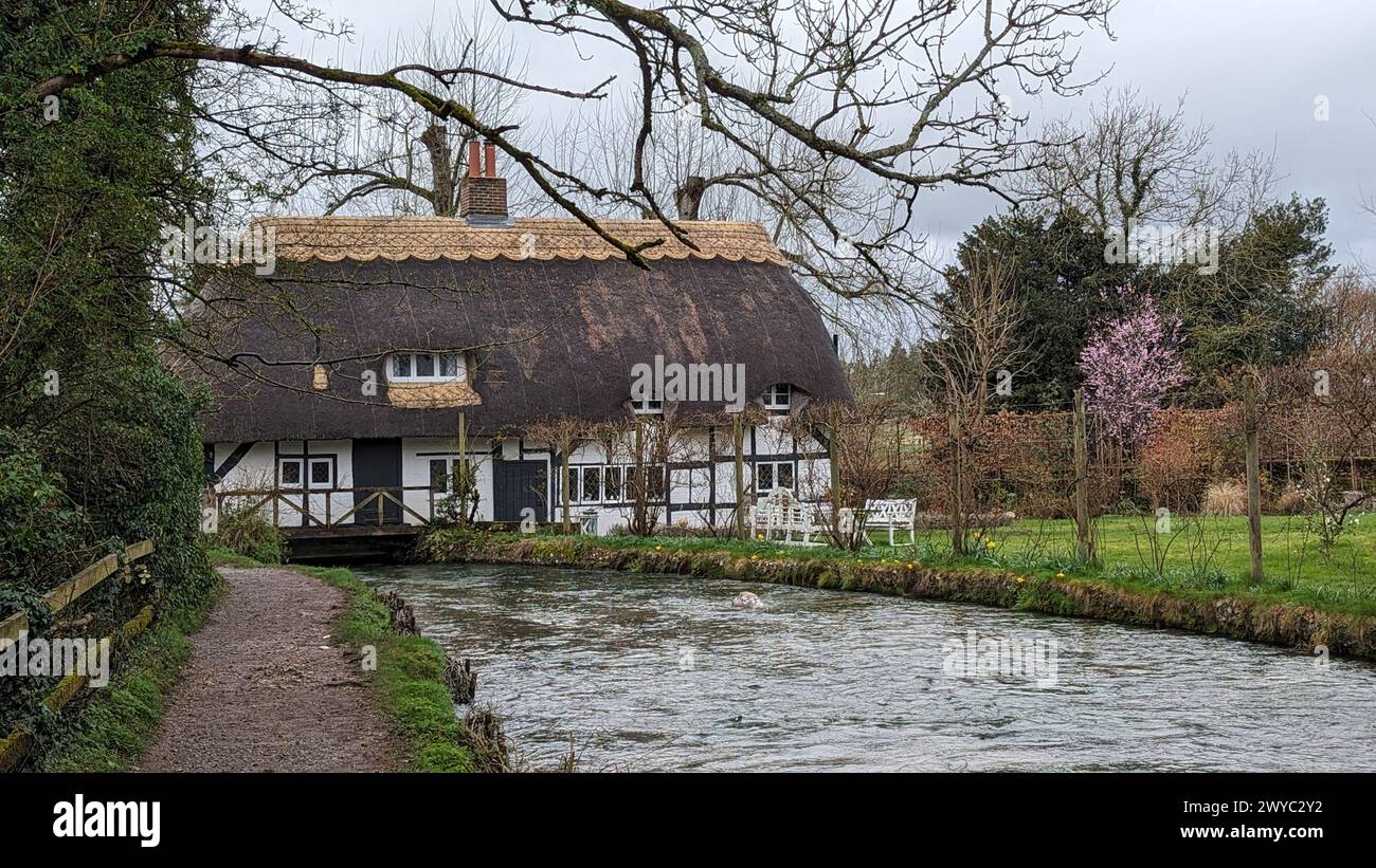 Views around Arlesford Hampshire river itchen watercress watercress ...