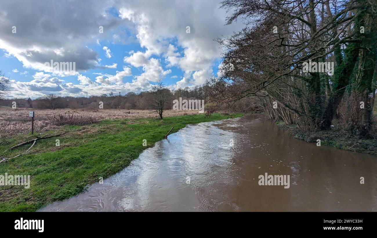 River Wey at Pierrepont farm,frensham, flooding,bridelway,bridge water ...