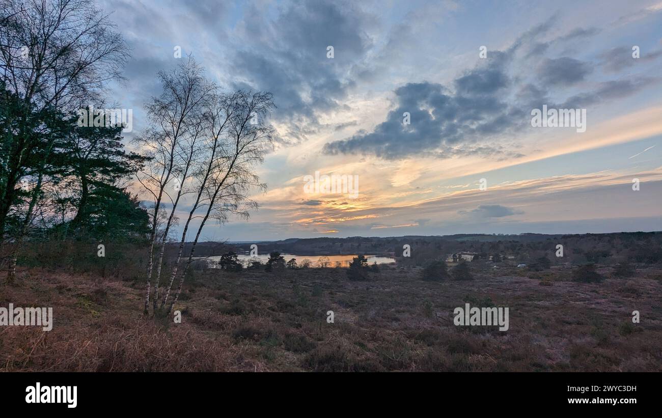 Thursley national nature reserve heath hi-res stock photography and ...