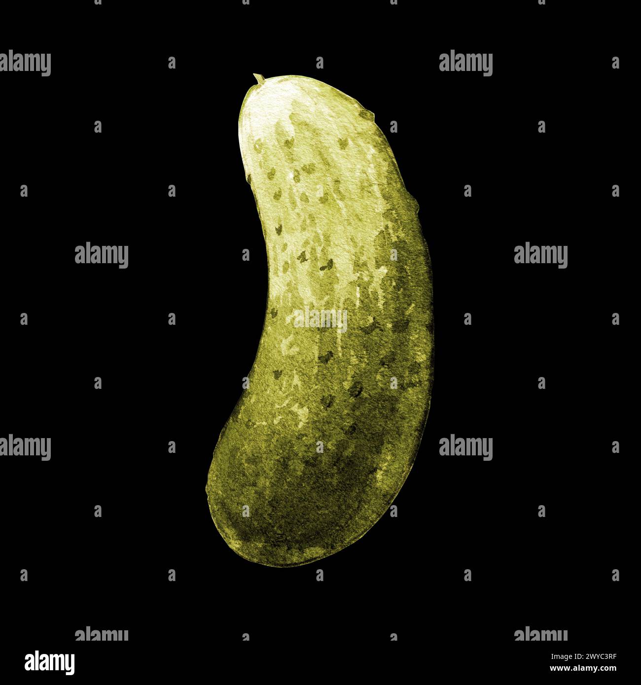 Pickle watercolor illustration on black background Stock Photo - Alamy