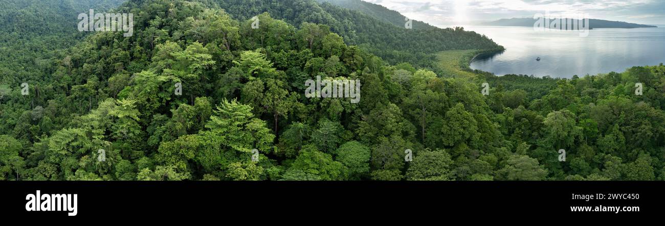 Thick rainforest covers the scenic coast of southern Batanta, Raja ...