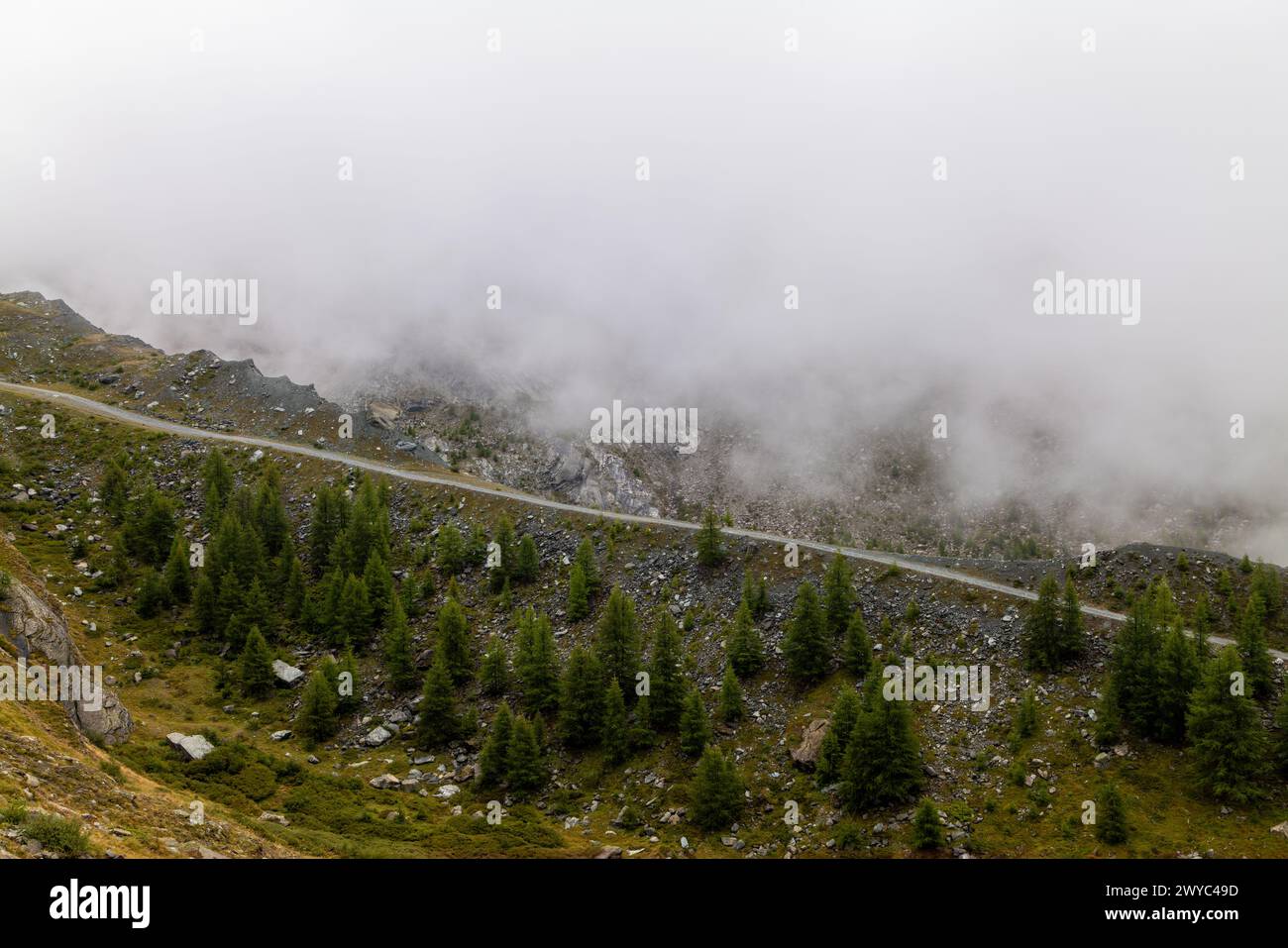 A foggy mountain path winds through trees Stock Photo - Alamy