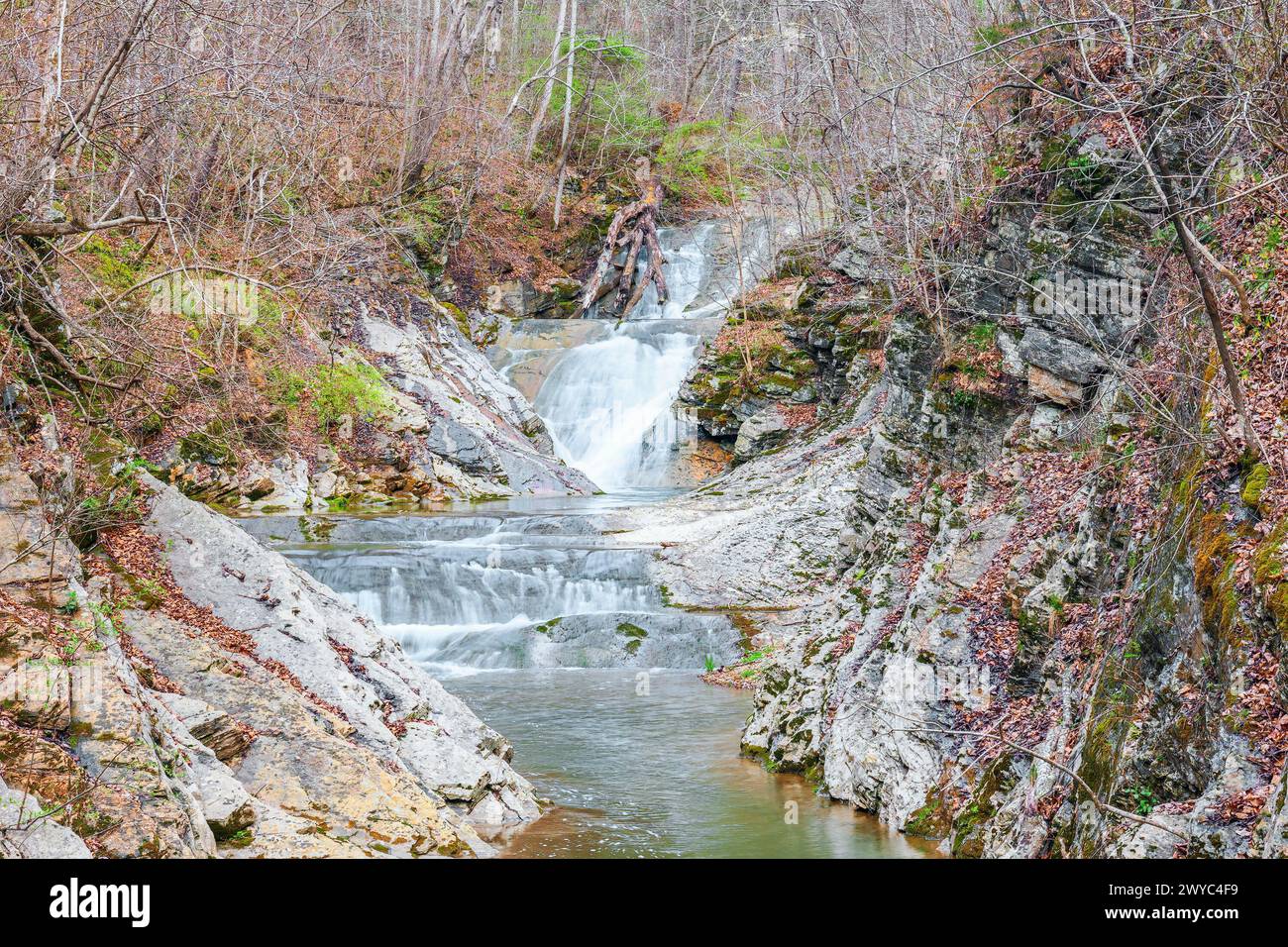 Natural Bridge, Virginia. USA - March 28, 2024 - Lace Falls at Natural ...